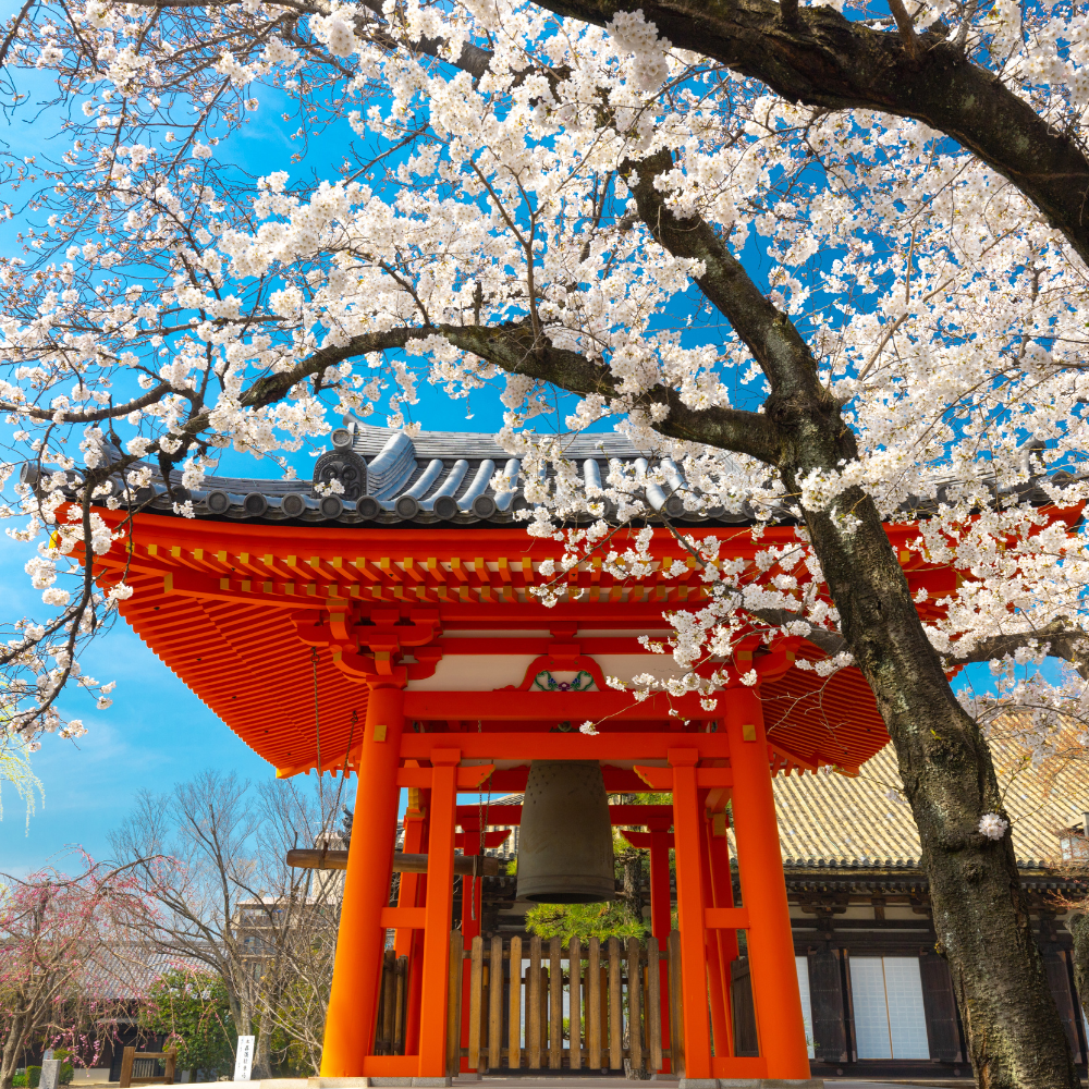 UK eSim | Destination Sim